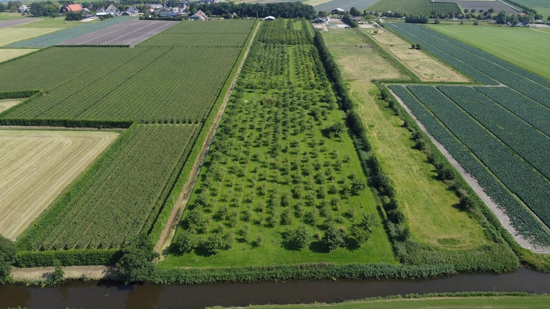 Bouwgrond te koop: Zwaagdijk 212 1682 NP Zwaagdijk-Oost [Funda]